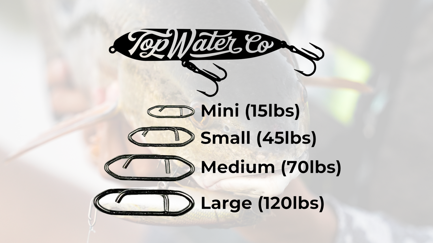 Speed Clips – Topwater Co