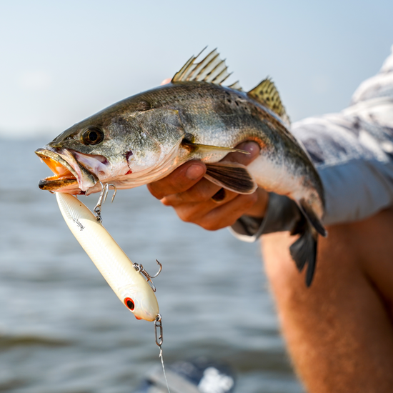 Small Speed Clips (45lbs) – Topwater Co