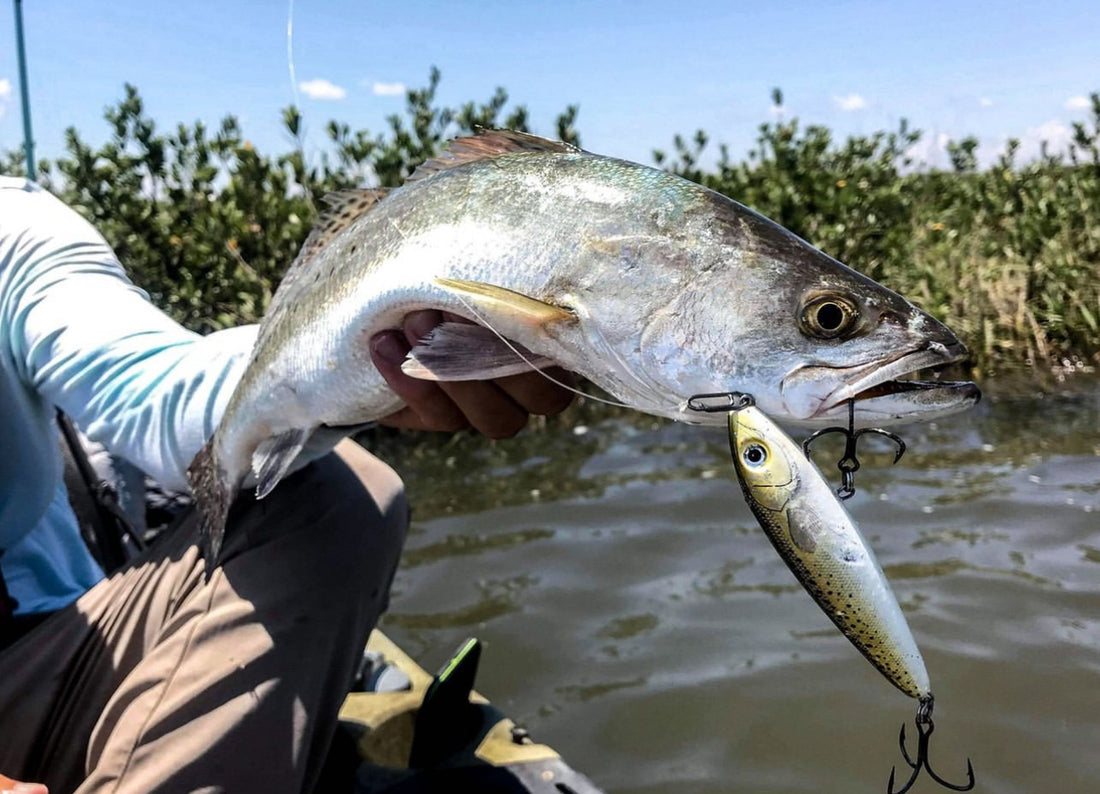 Speed Clips – Topwater Co