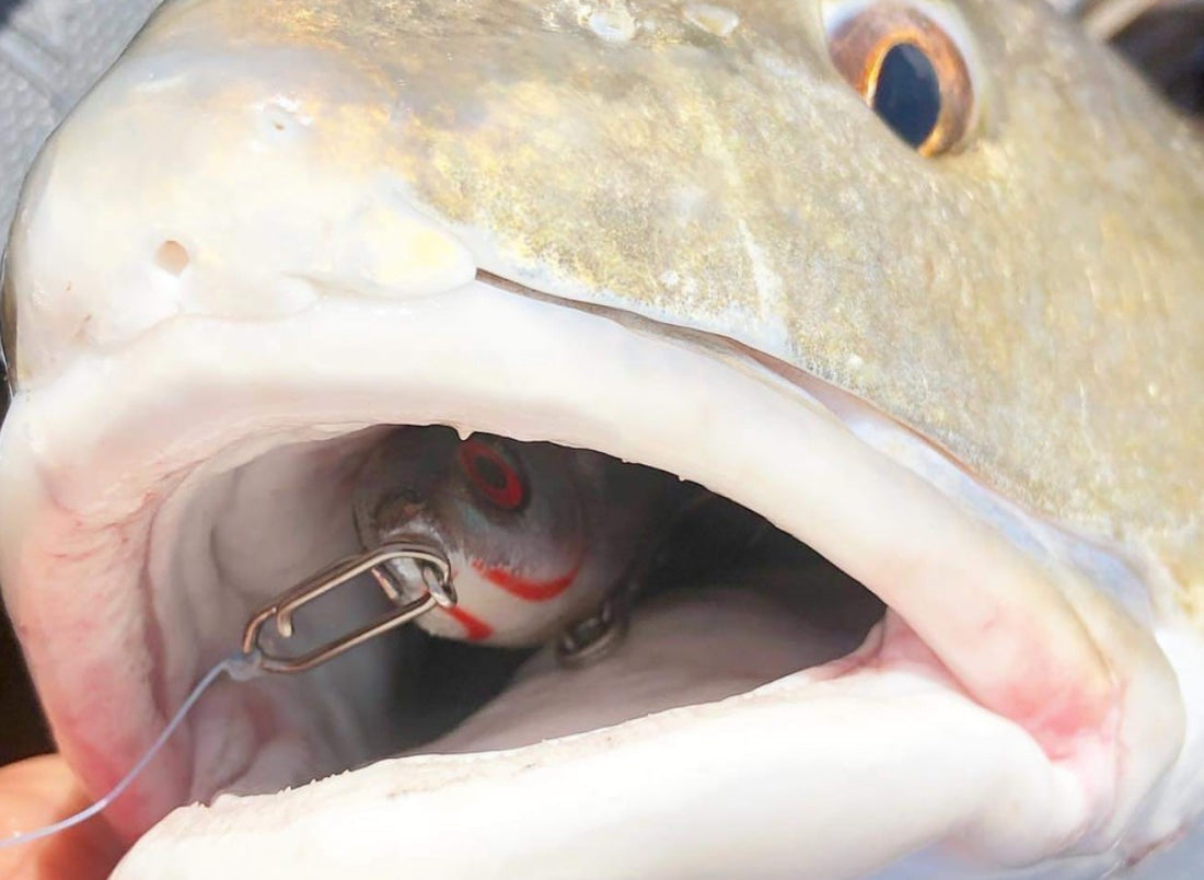 Speed Clips – Topwater Co