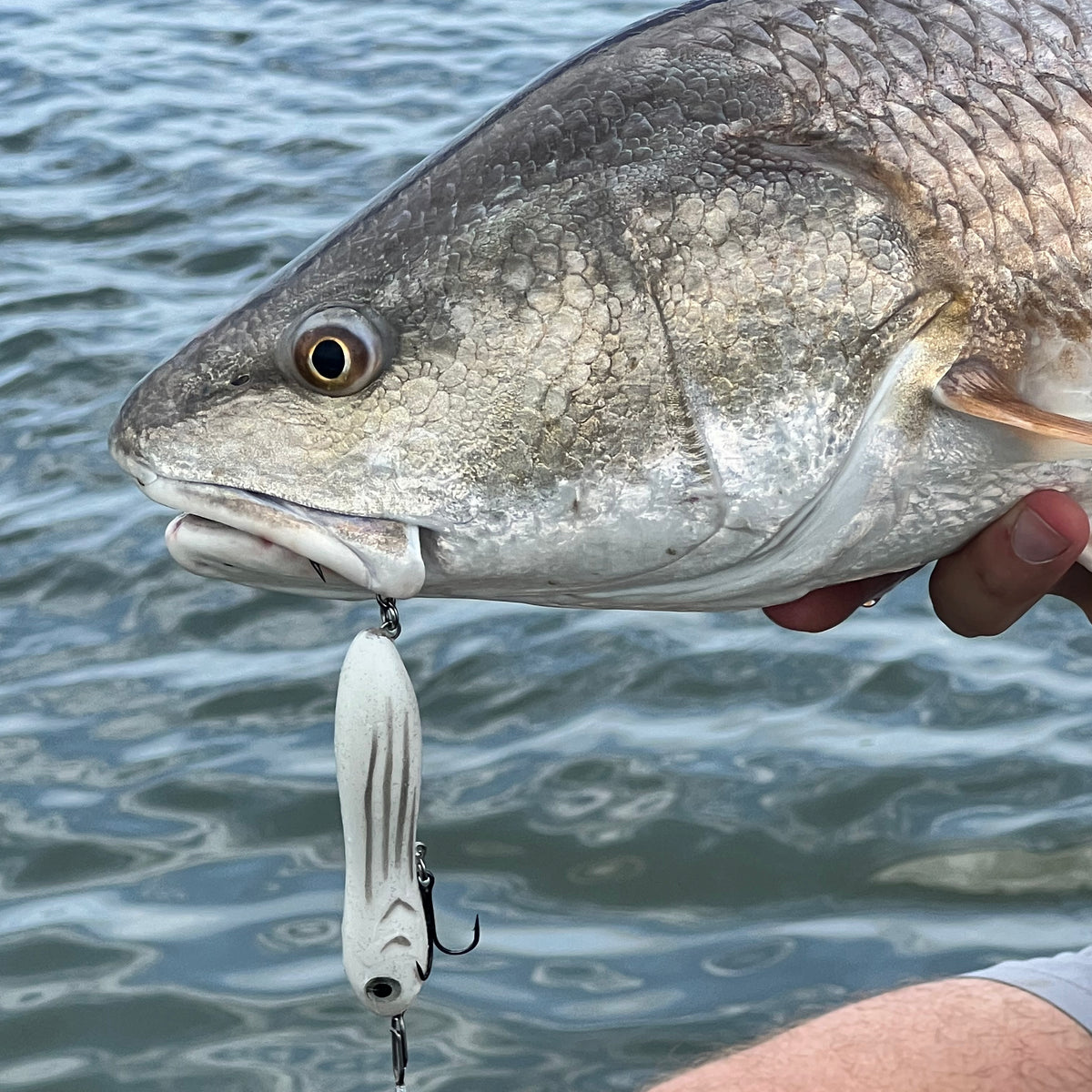 Inshore Speed Clip Bundle (25 Clips in Each Size) – Topwater Co